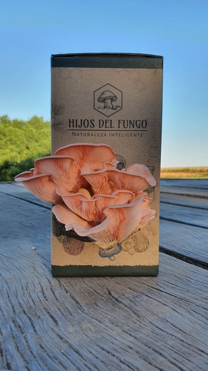 Girgolas Rosadas | Hijos del Fungo